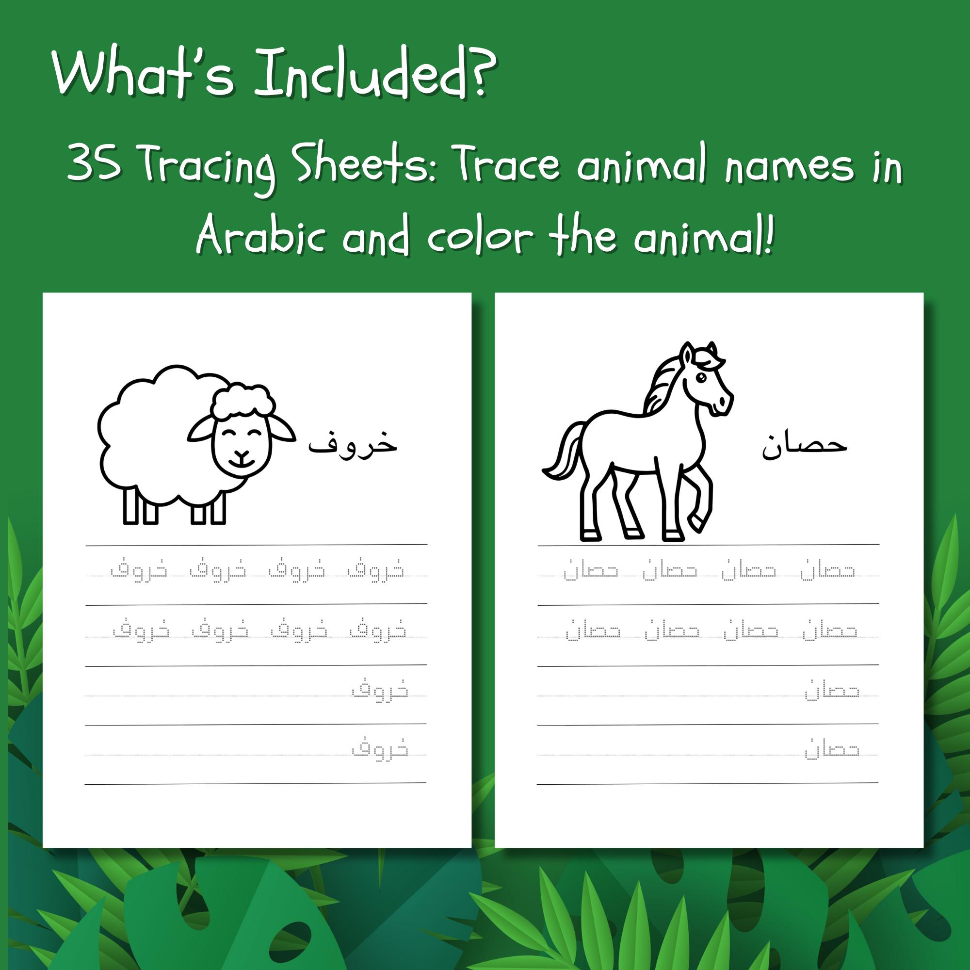 84 Arabic Animal Learning Sheets | Tracing, Coloring & Matching ...