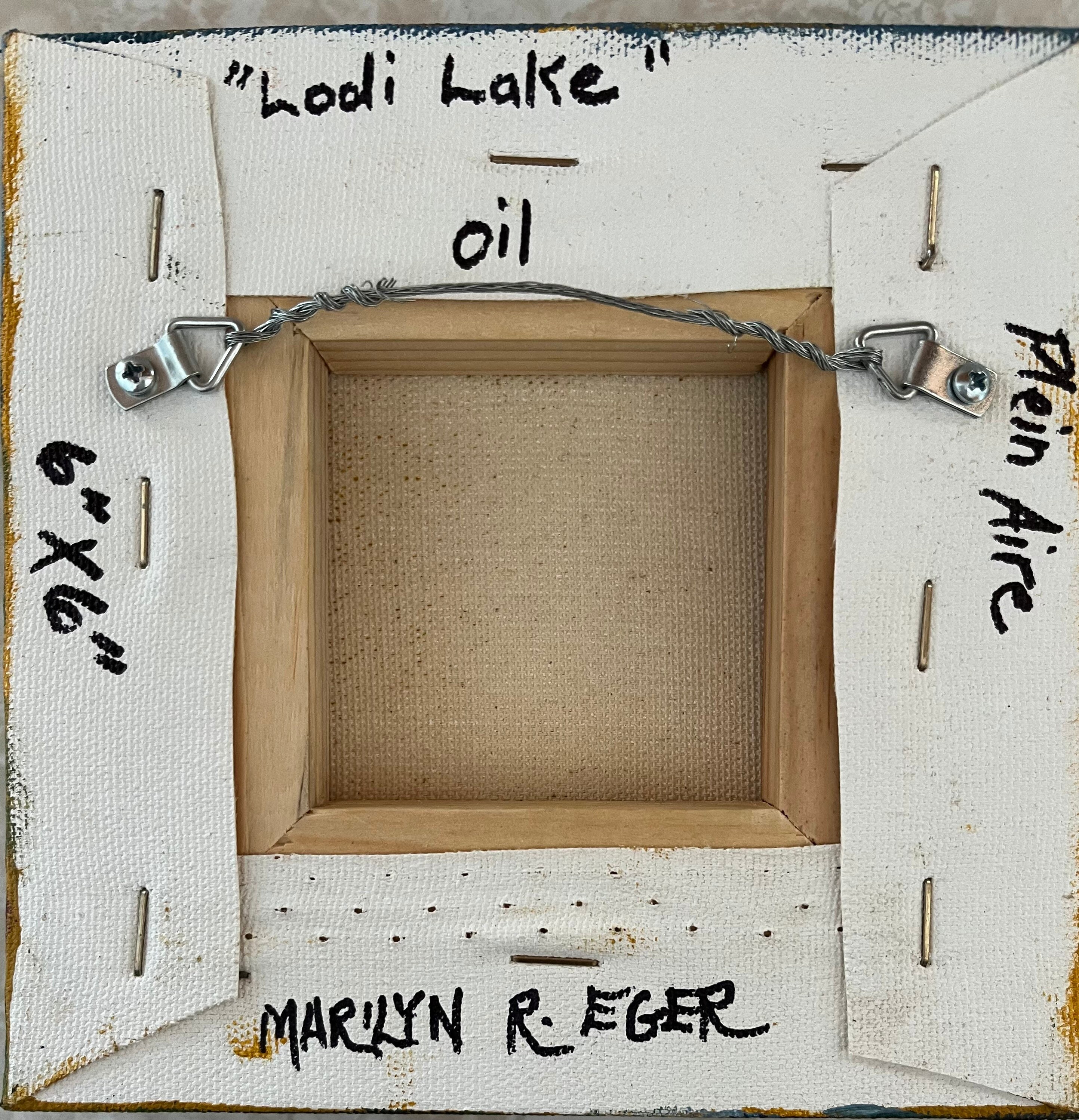 Original Oil Painting, Lodi Lake, Lodi Landscape, Plein Aire, Wrap ...