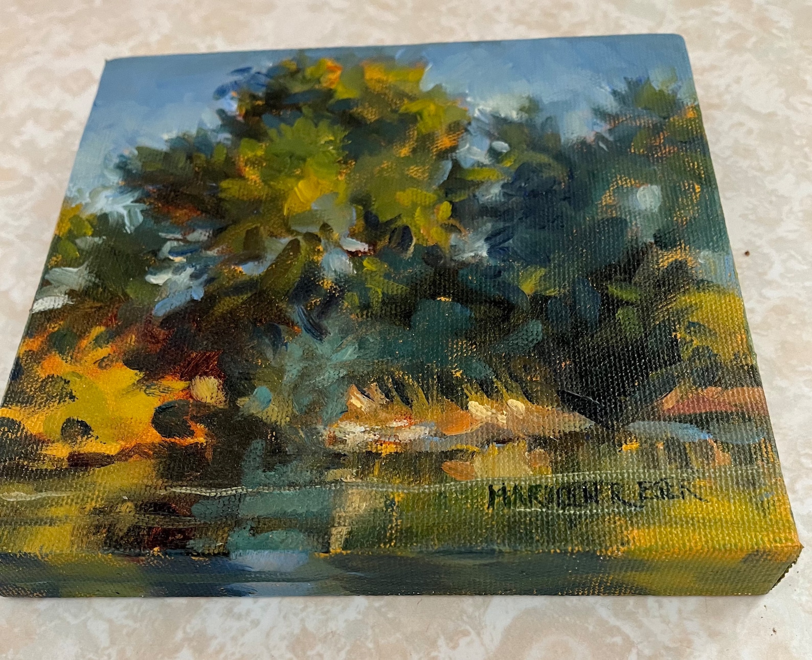 Original Oil Painting, Lodi Lake, Lodi Landscape, Plein Aire, Wrap ...