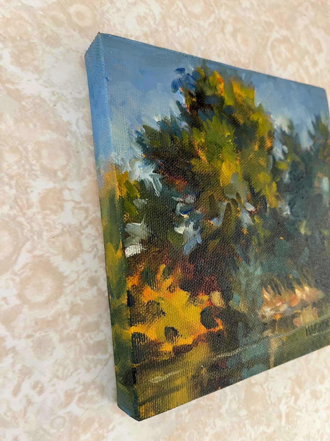 Original Oil Painting, Lodi Lake, Lodi Landscape, Plein Aire, Wrap ...