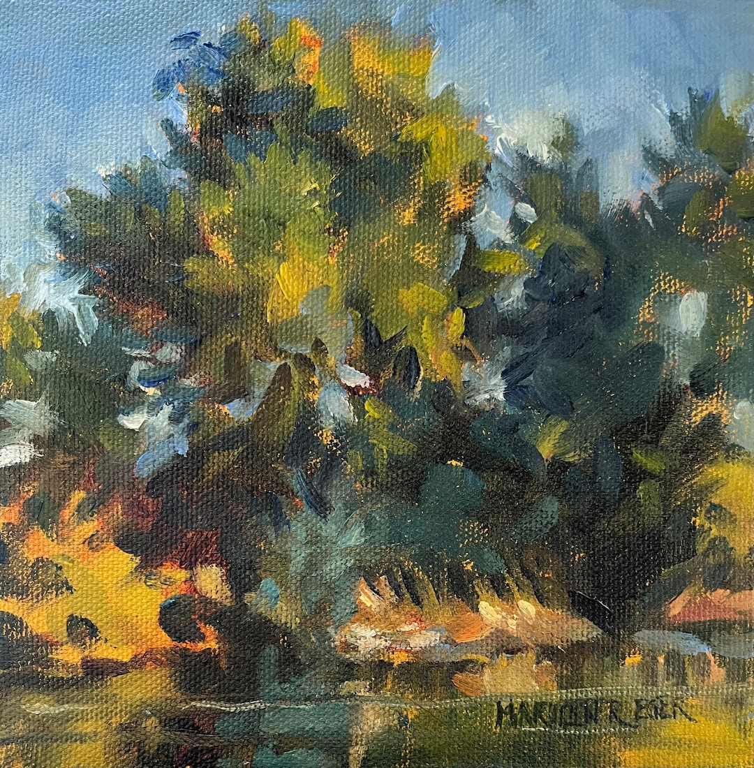 Original Oil Painting, Lodi Lake, Lodi Landscape, Plein Aire, Wrap ...
