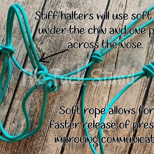 FIRM Custom Sliding O-ring Transition Halter Indian Bosal Hybrid ...