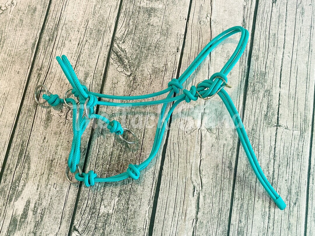 Pre-made Sliding O-ring Transition Halter Indian Bosal Hybrid "bosalter ...