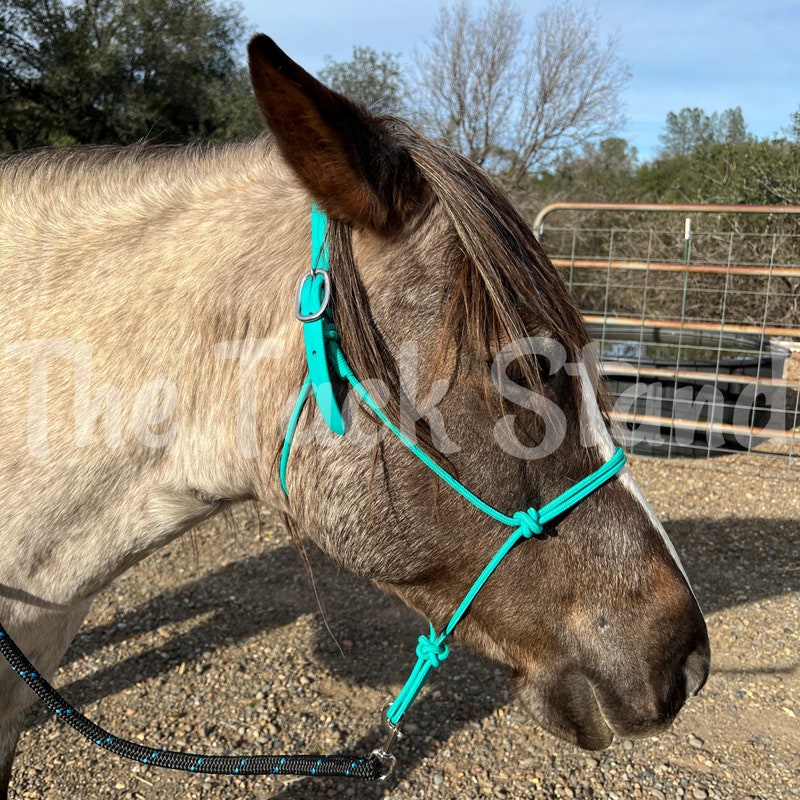 Bronc Halter - Etsy
