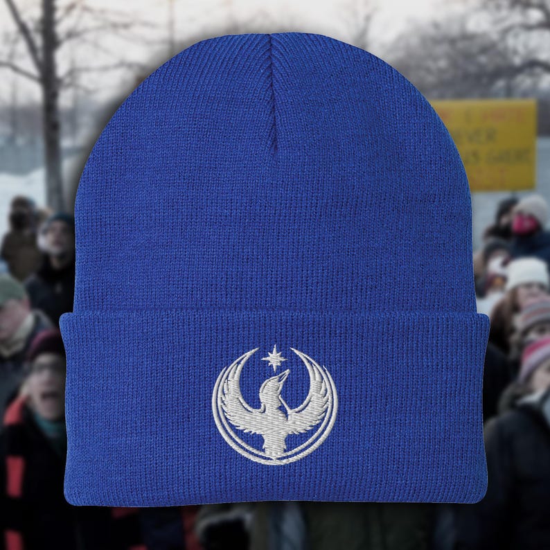 Minnesota Rebel Bird Embroidered Beanie, MN State Loon Protest Skull ...
