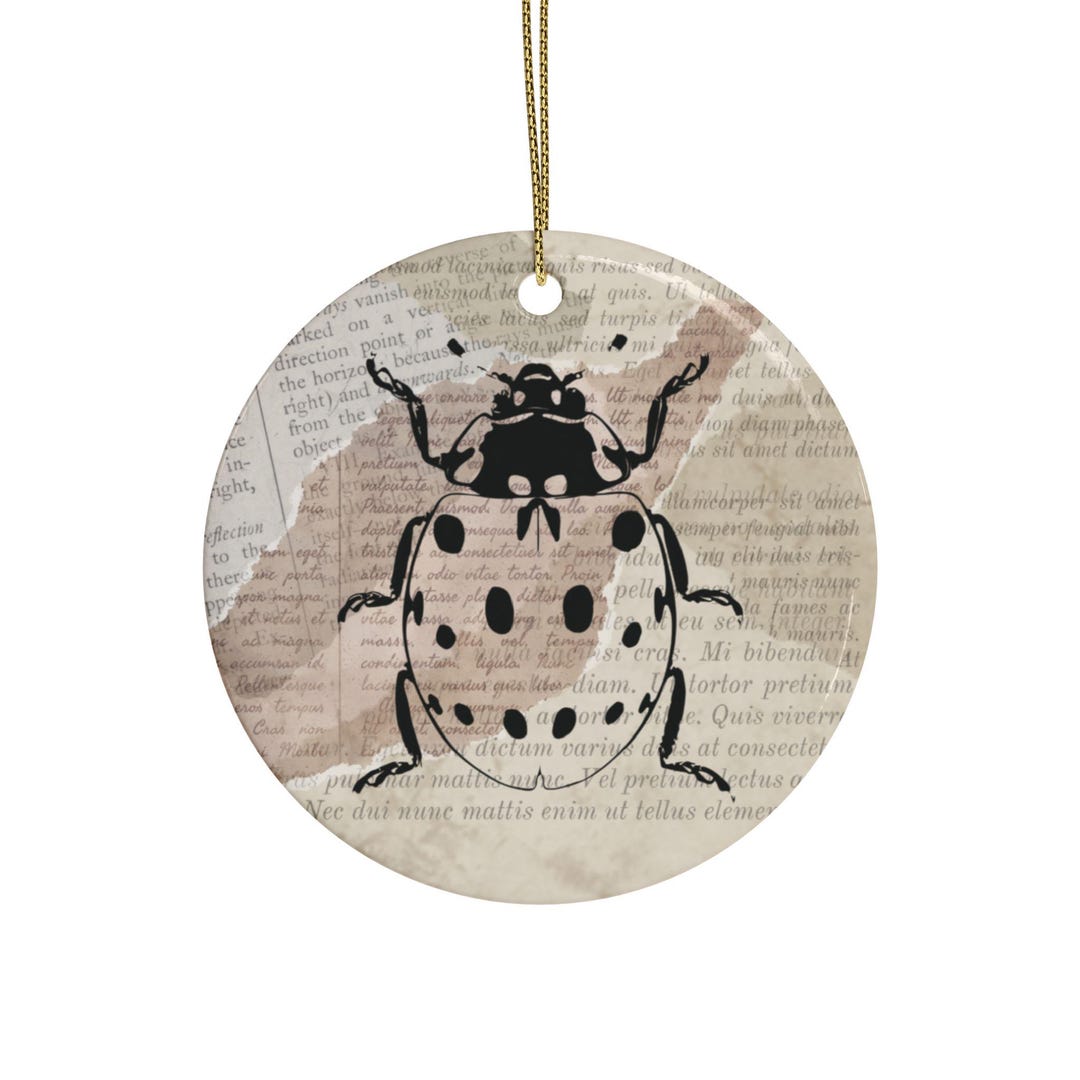 Gothic Ladybug Ornament | Vintage Dark Academia Holiday Decor ...