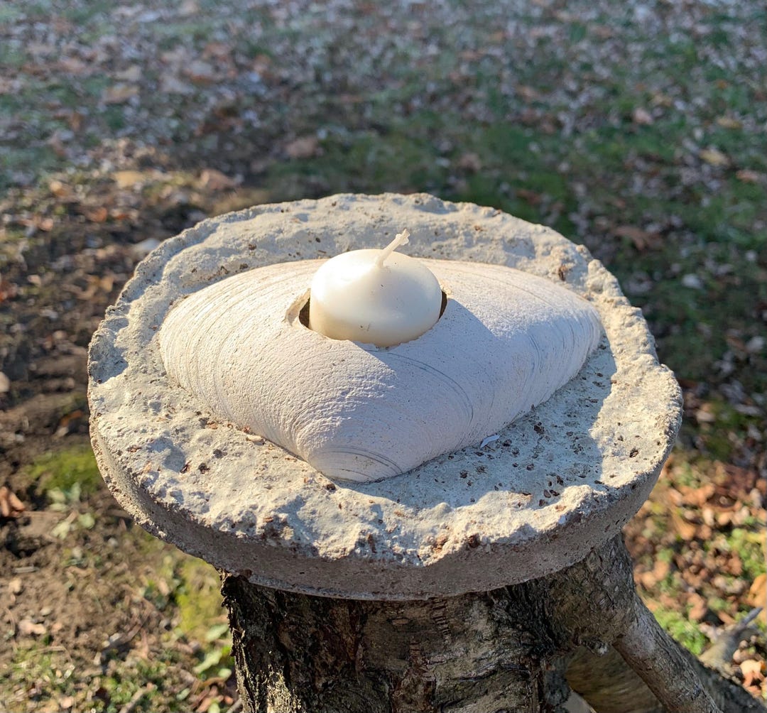 Seashell Tea Light Candle Holder - Etsy