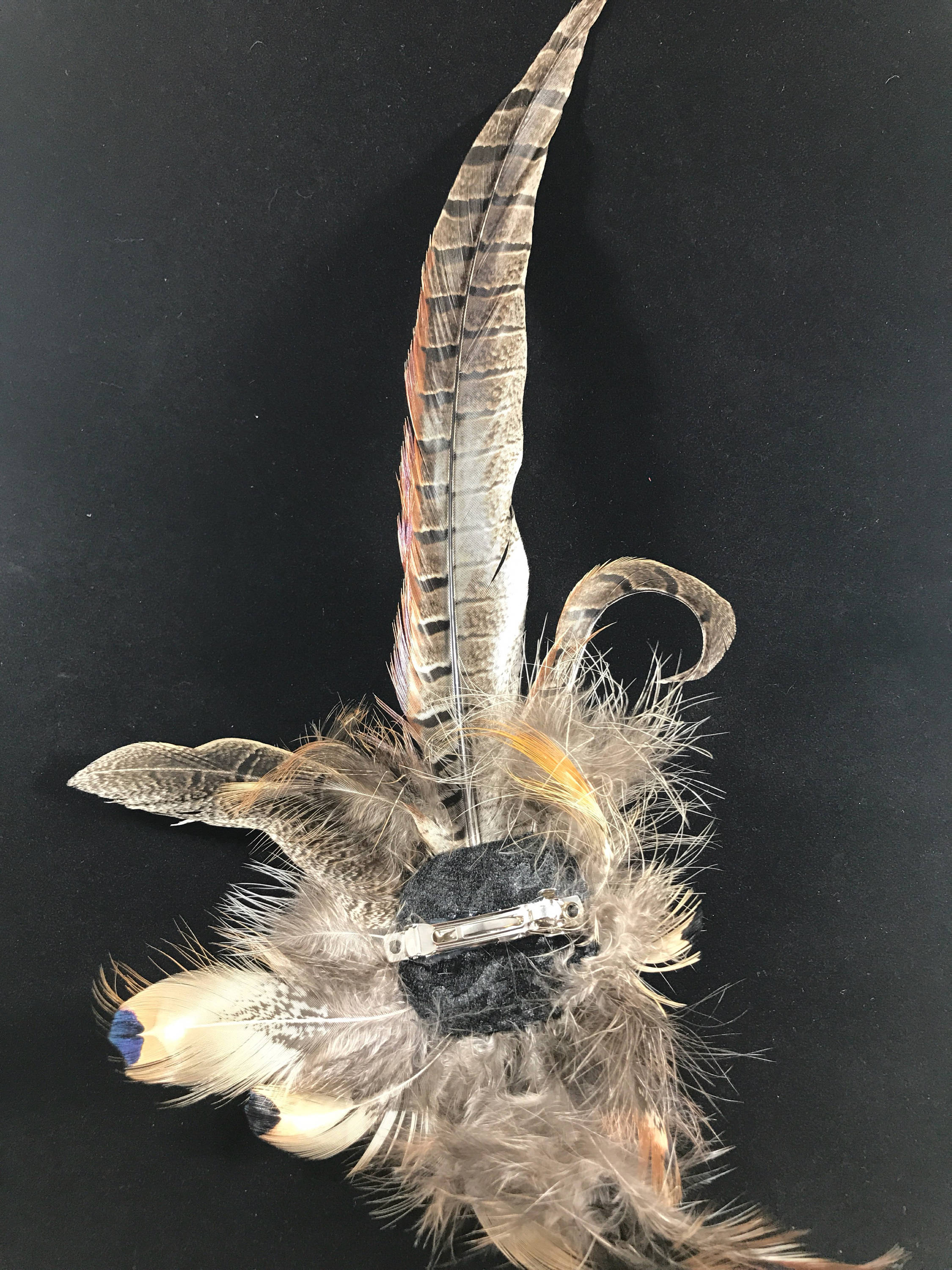 Natural Pheasant Feather Fascinator Hair Clip With Large | Etsy