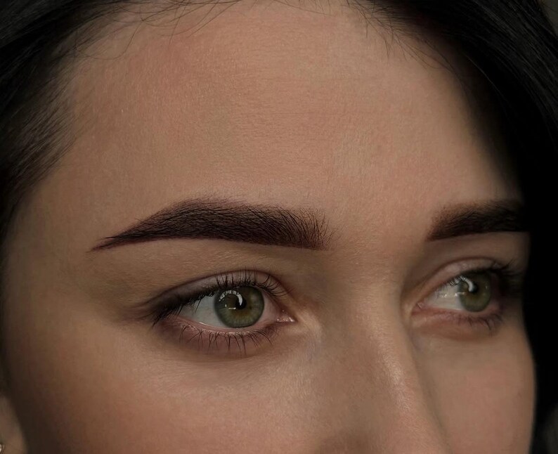 PMU Brows Training Manual, Complete Guide, Microblading, Microshading ...