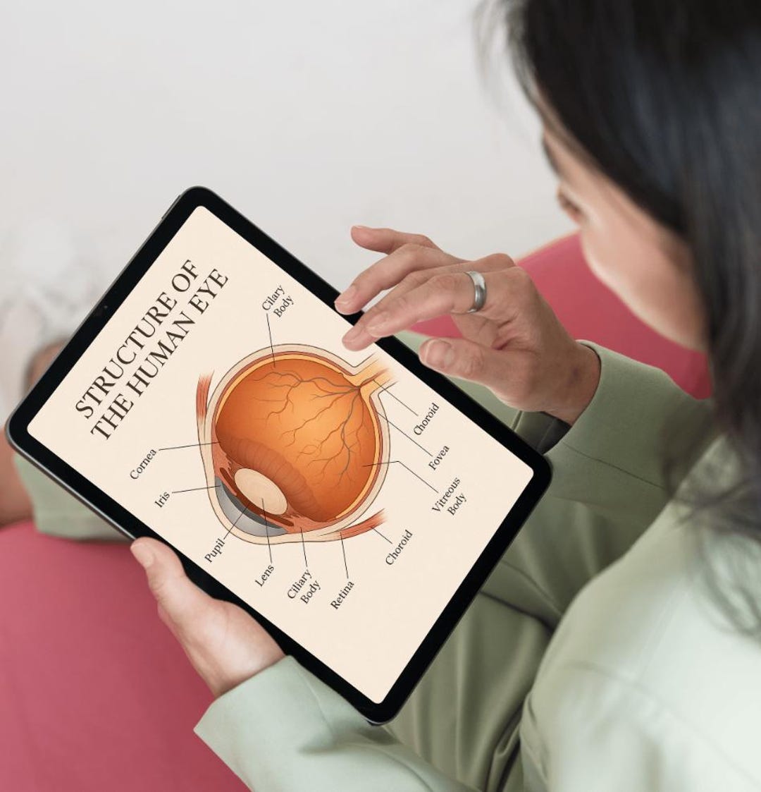 Human Eye Anatomy Poster | Structure of the Eye Educational Wall Art ...