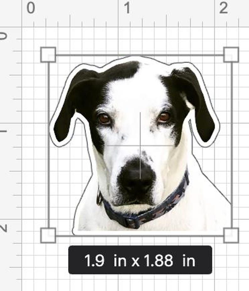Personalized Epoxy Resin Pet Stickers, 3D Glossy Custom Pet Decals ...