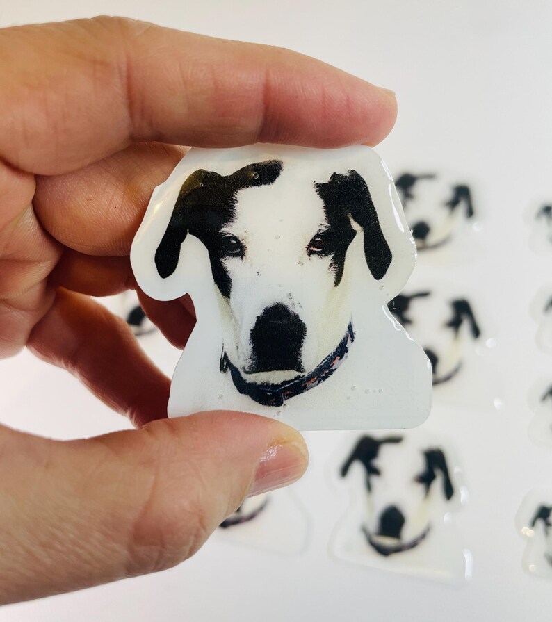 Personalized Epoxy Resin Pet Stickers, 3D Glossy Custom Pet Decals ...