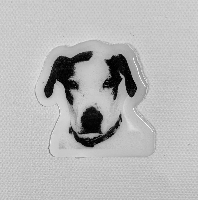 Personalized Epoxy Resin Pet Stickers, 3D Glossy Custom Pet Decals ...