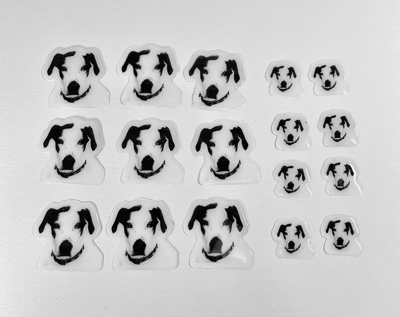 Personalized Epoxy Resin Pet Stickers, 3D Glossy Custom Pet Decals ...