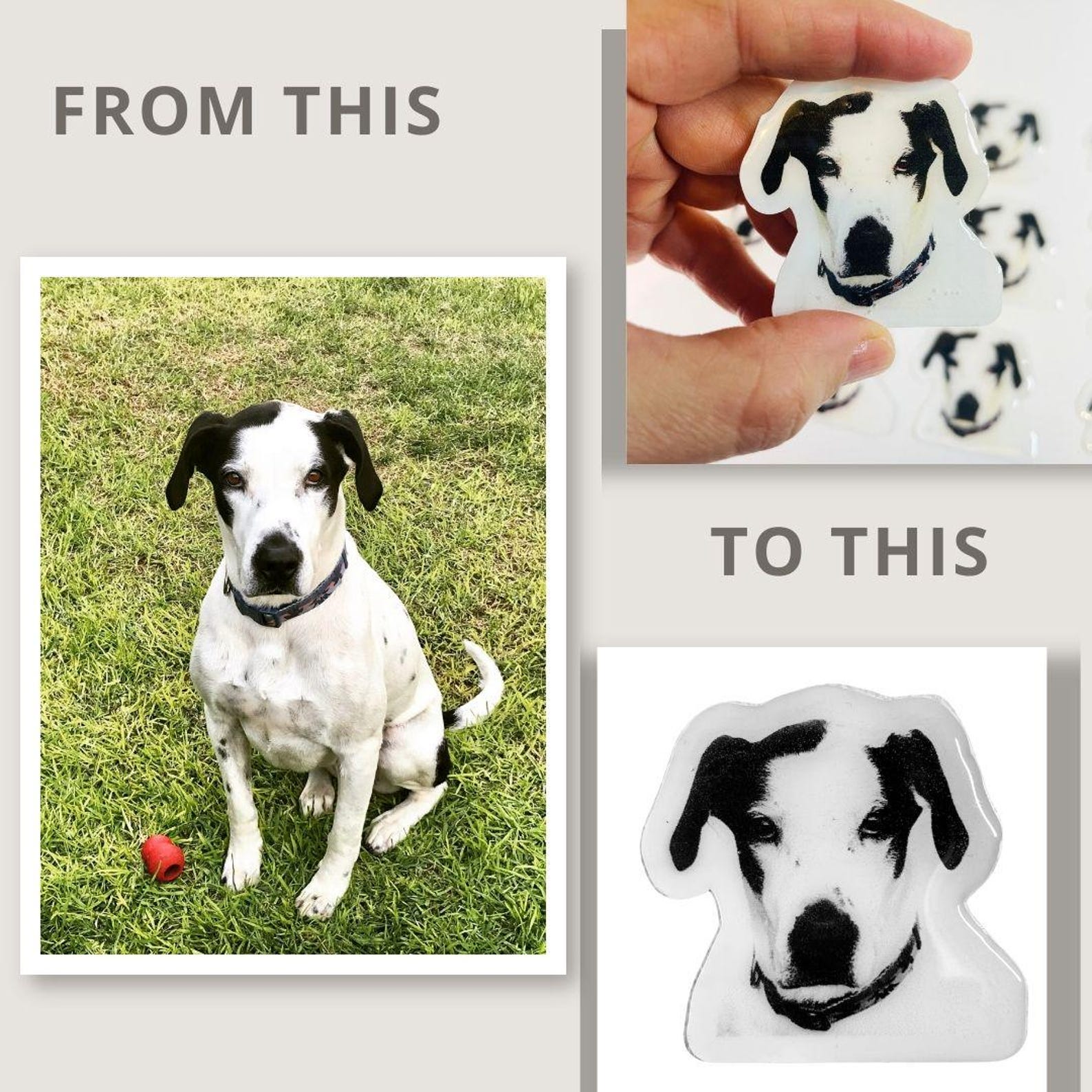 Personalized Epoxy Resin Pet Stickers, 3D Glossy Custom Pet Decals ...