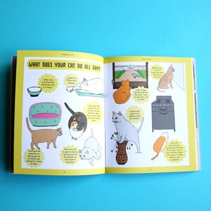 I Touched A Cat and I Liked It | A Book Written and Illustrated by Anna ...