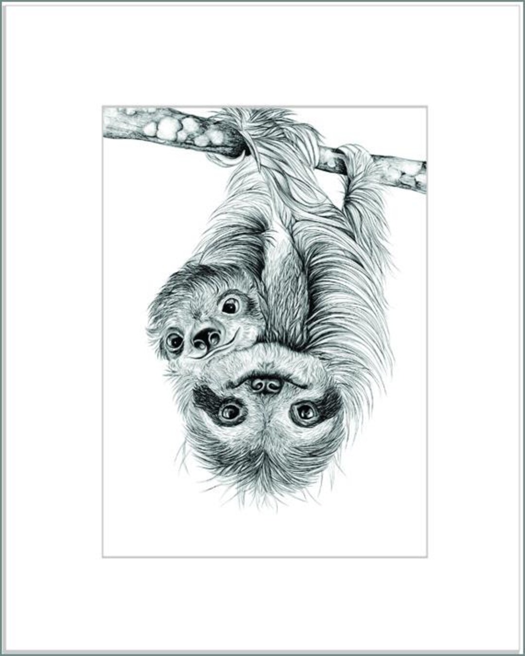 Sloths, Graphite, Pencil, Mom, Baby, Green, Trees, Rainforest, Humid ...