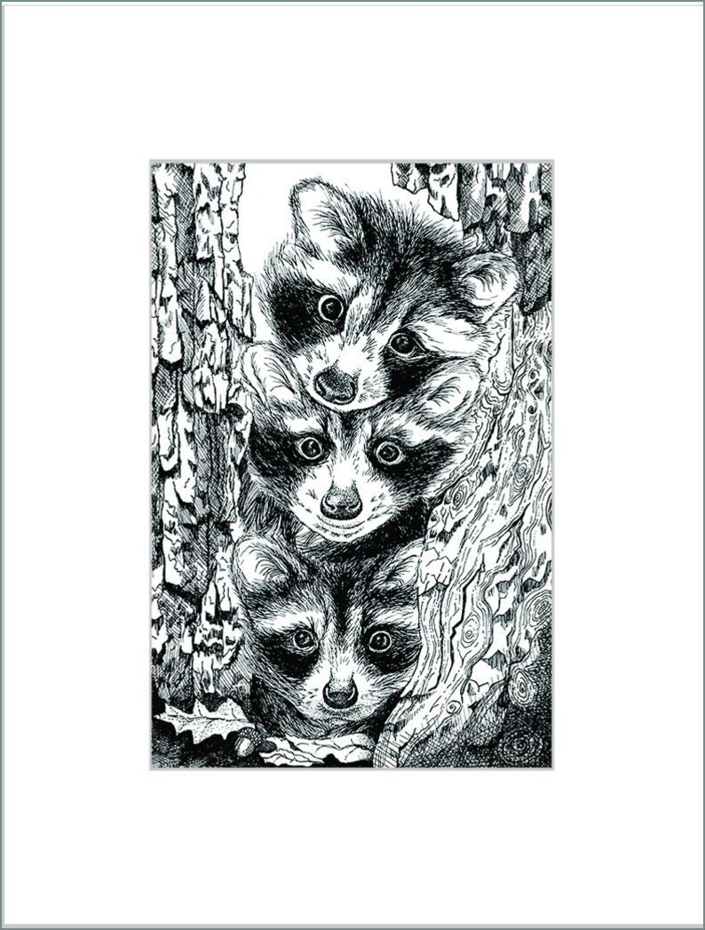 Raccoons, Tree, Coons, Artwork, Art Print, Matted Art, Ink, Black and ...