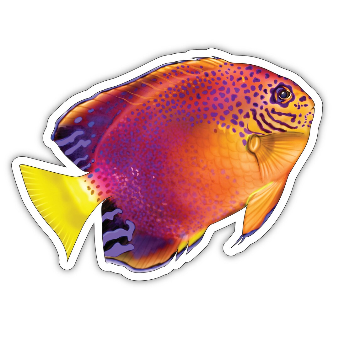Fishers Angelfish Sticker - Etsy