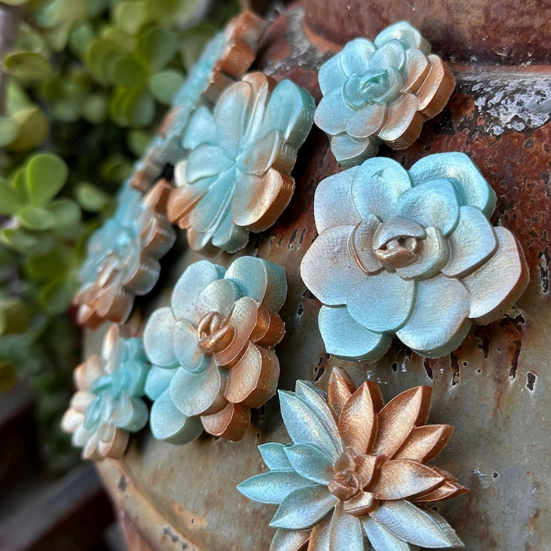 Succulent Magnet - Etsy