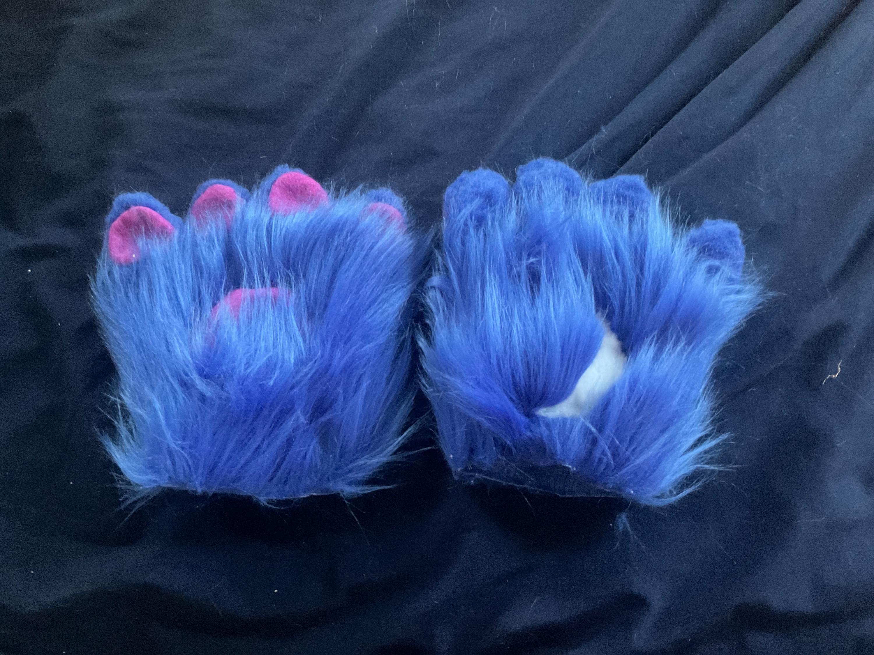 Space Themed Blue Paws - Etsy