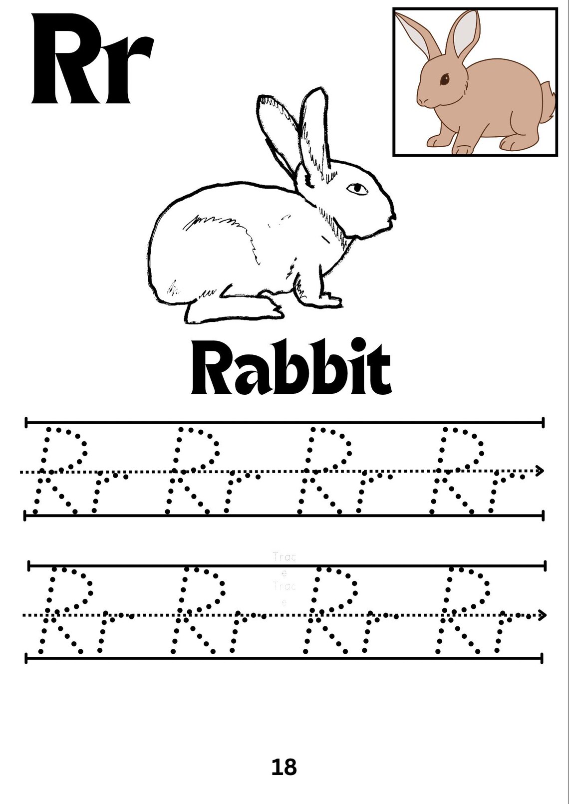 CANVA ABC Template,alphabet Template,school Template,kindergarten ...