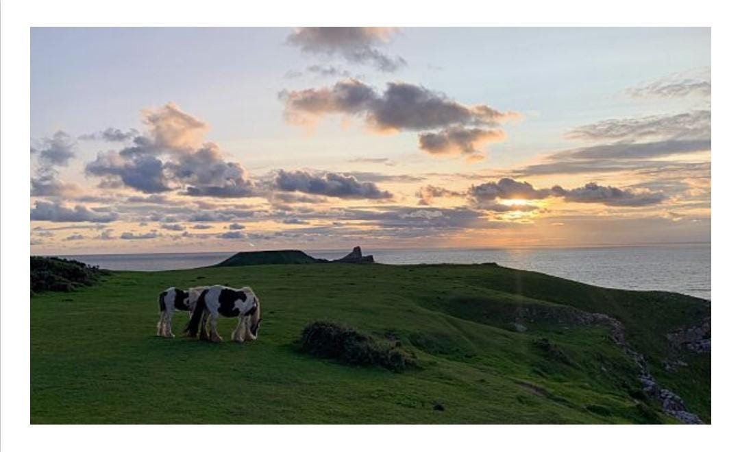 Coastal Sunset Ponies at Sunset Sunset at Rhossili Bay Wales - Etsy