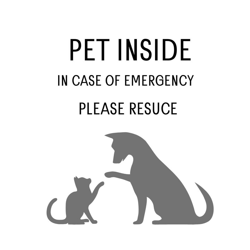 Pet Inside Sticker - Etsy