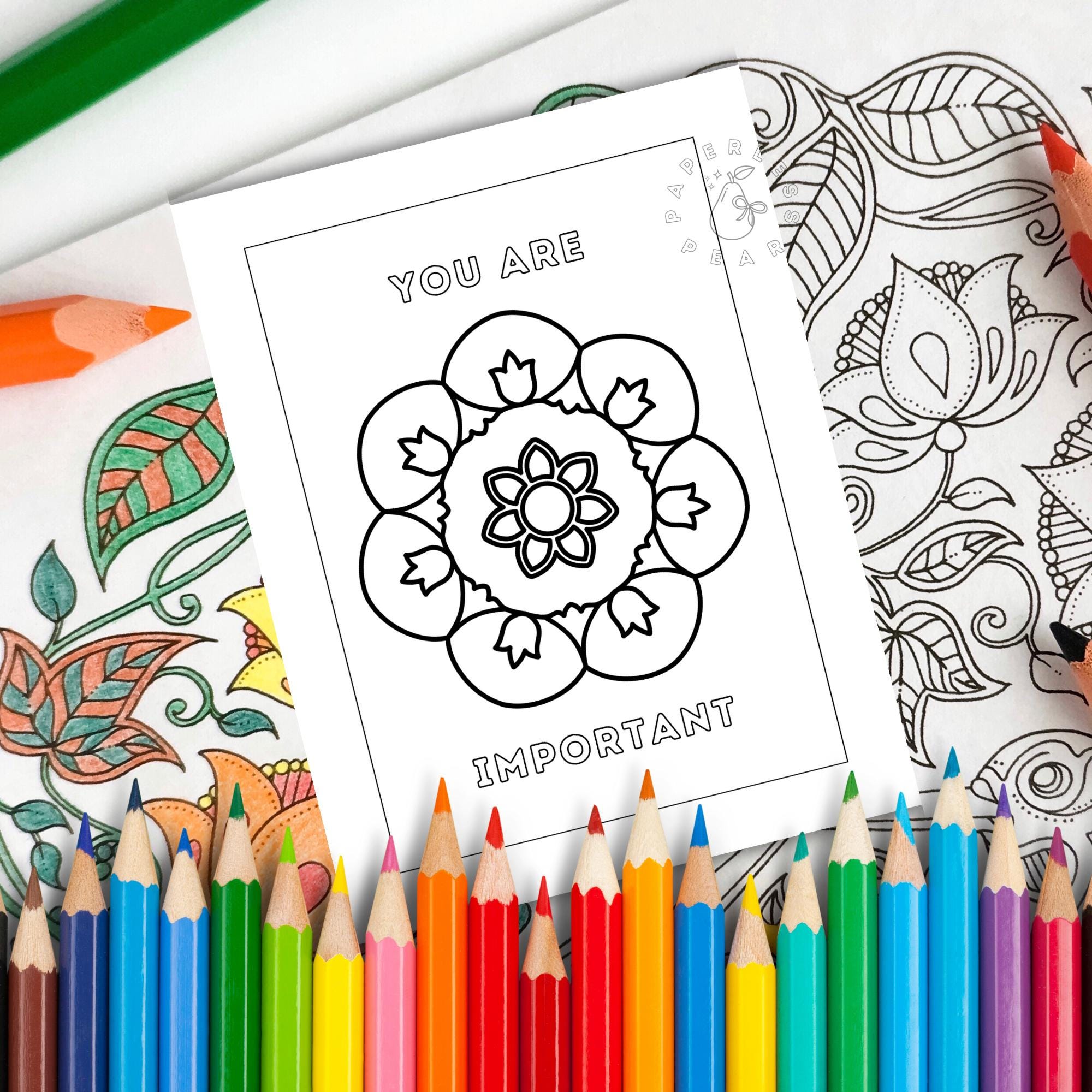 Coloring Book Bold and Easy Mandala Coloring Book Relaxing Coloring ...