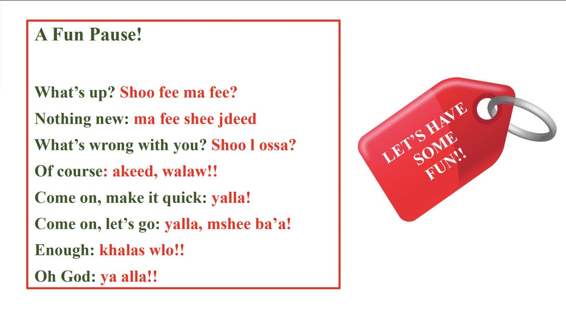 Learn Lebanese FOR KIDS, Levels 1-2 - Etsy