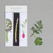 Three Bookmarks With Vegetable Illustrations - Etsy