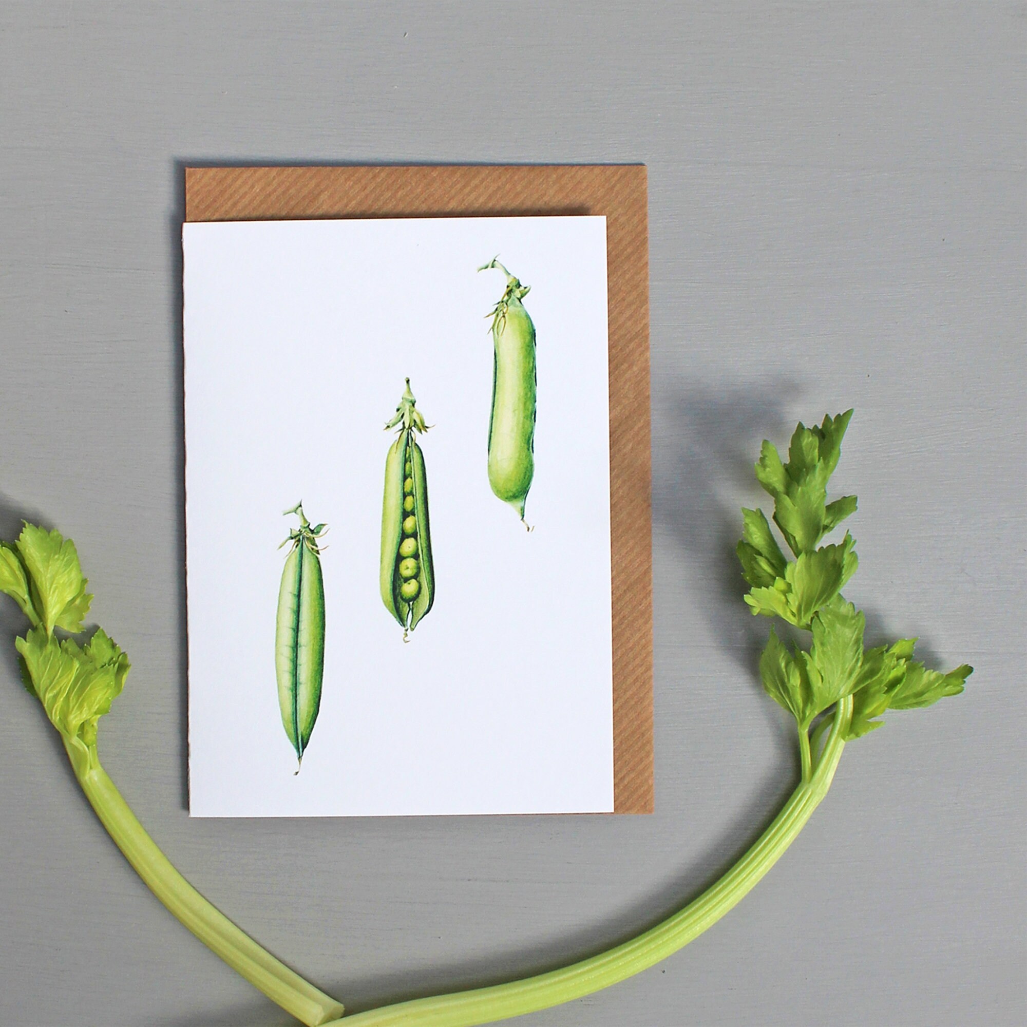 6 Cards With Vegetable Illustrations - Etsy UK