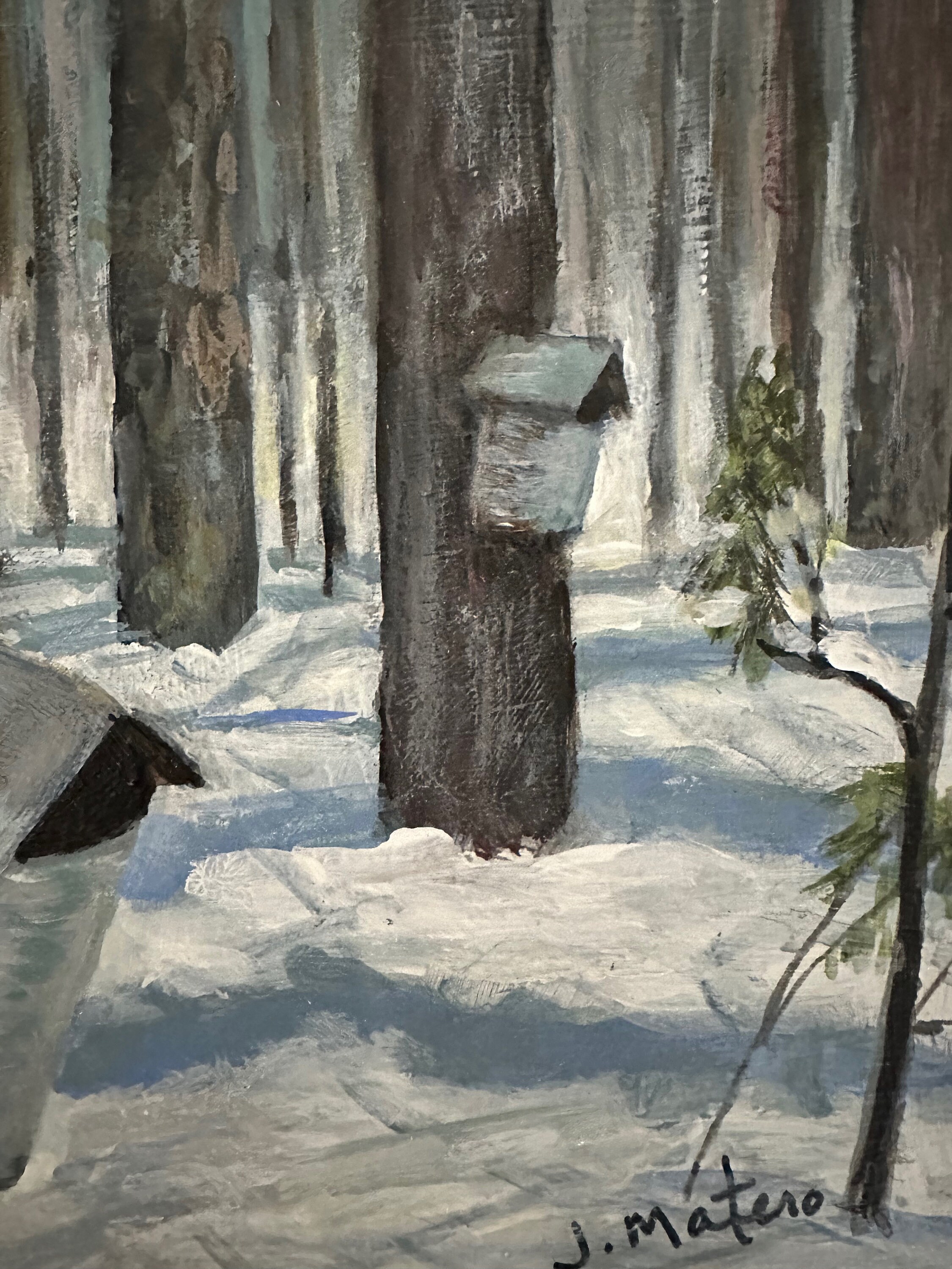 Tapping the Maples 8 X 6 Maple Syruping Trees - Etsy