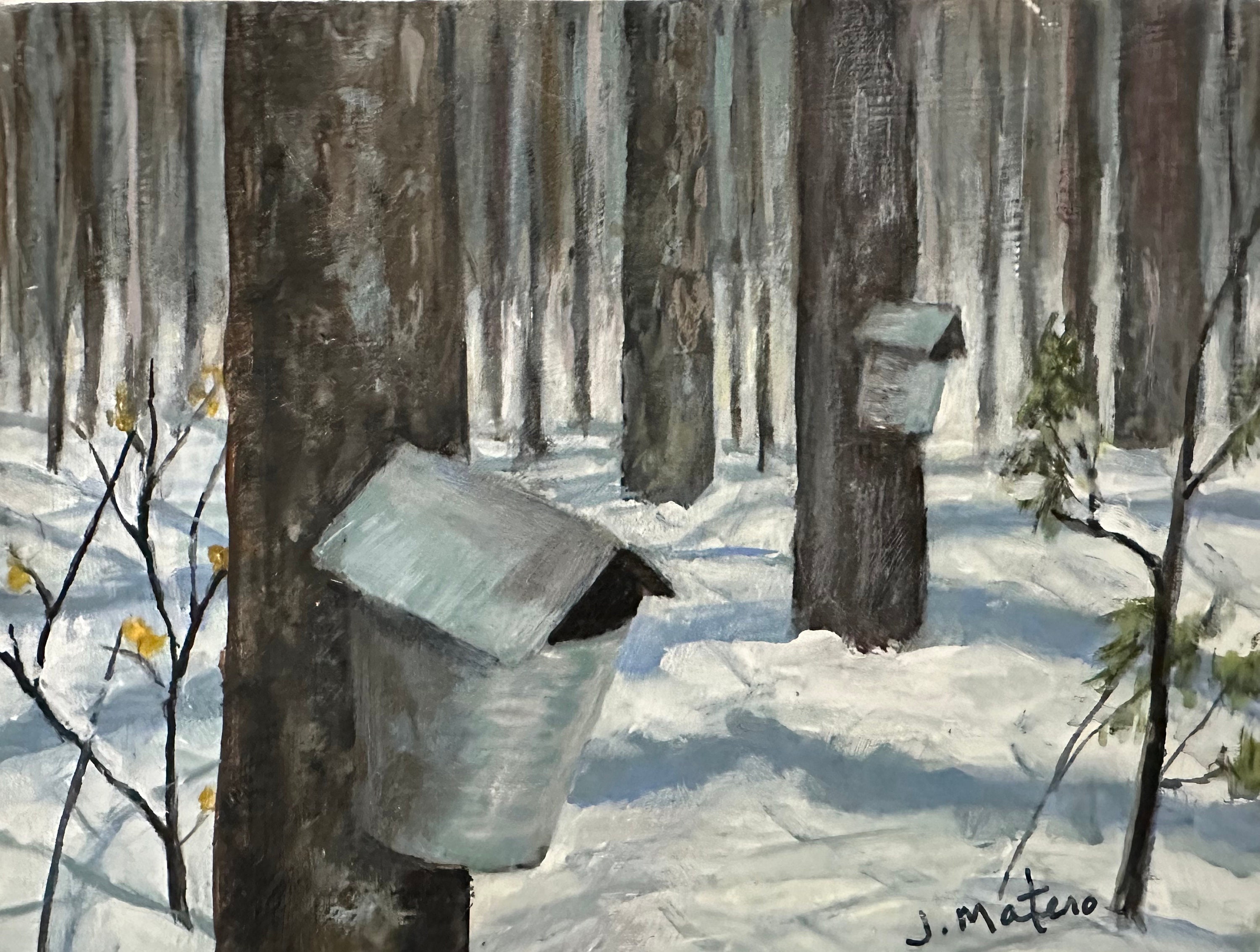 Tapping the Maples 8 X 6 Maple Syruping Trees - Etsy