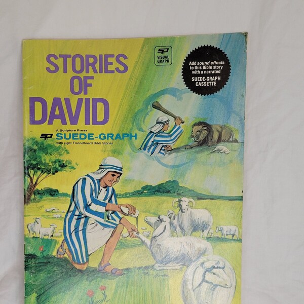 Flannel Graph Bible Story - Etsy