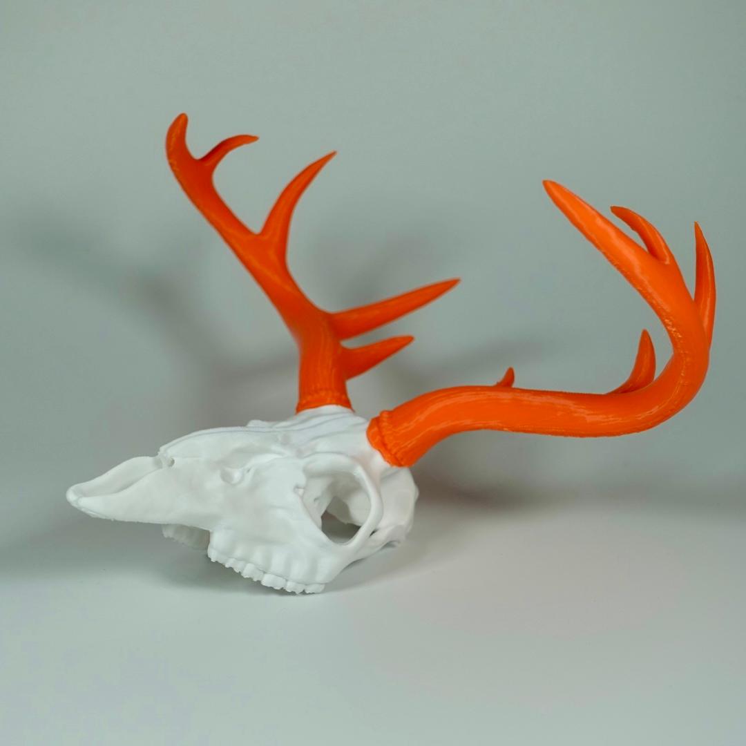 3D Printed Faux Deer Skull: Modern Farmhouse Rustic Wall Decor - Etsy