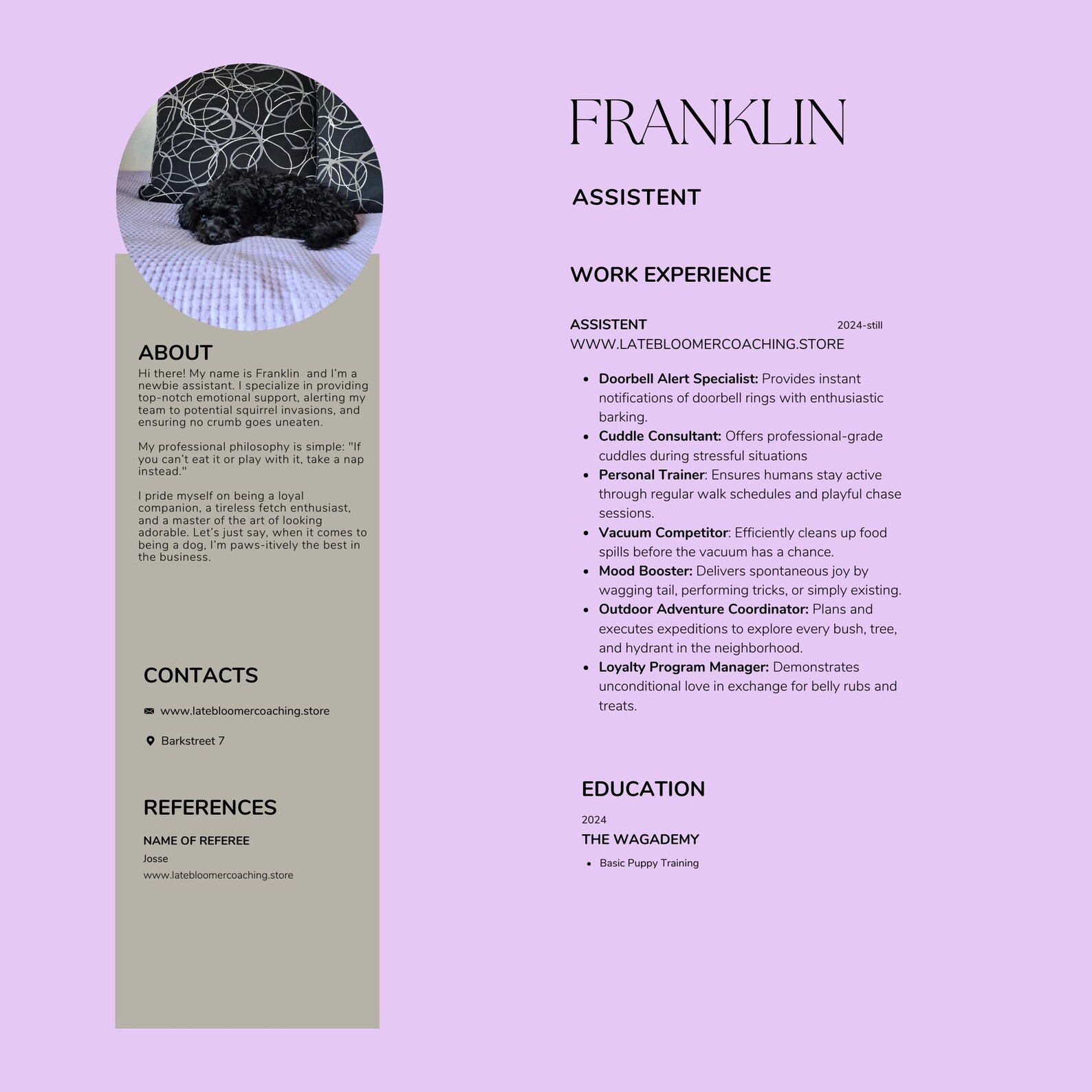 Custom Dog Profile Resume Personalized CV With Your Dogs Picture - Etsy