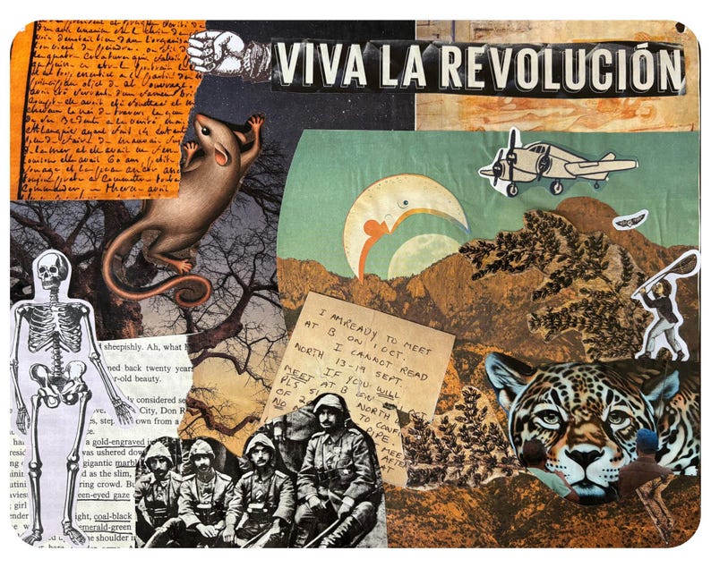 Viva La Revolucion Magazine Collage - Etsy