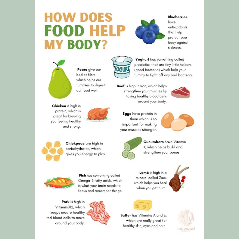 Healthy Eating Information for Kids (2 Digital Posters) - Etsy