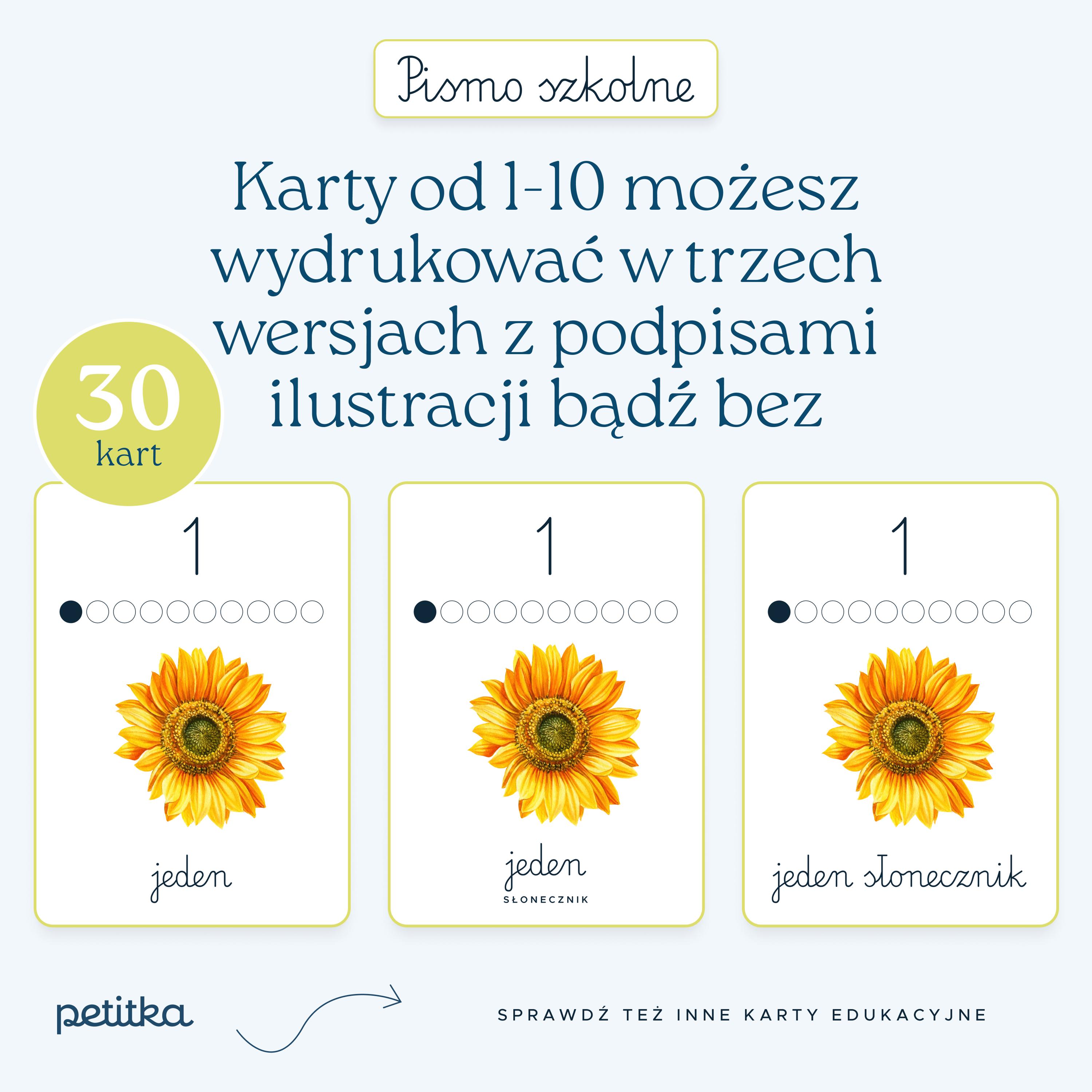 Polish Numbers Flashcards 1-10 | Printable Educational Cards for Kids ...