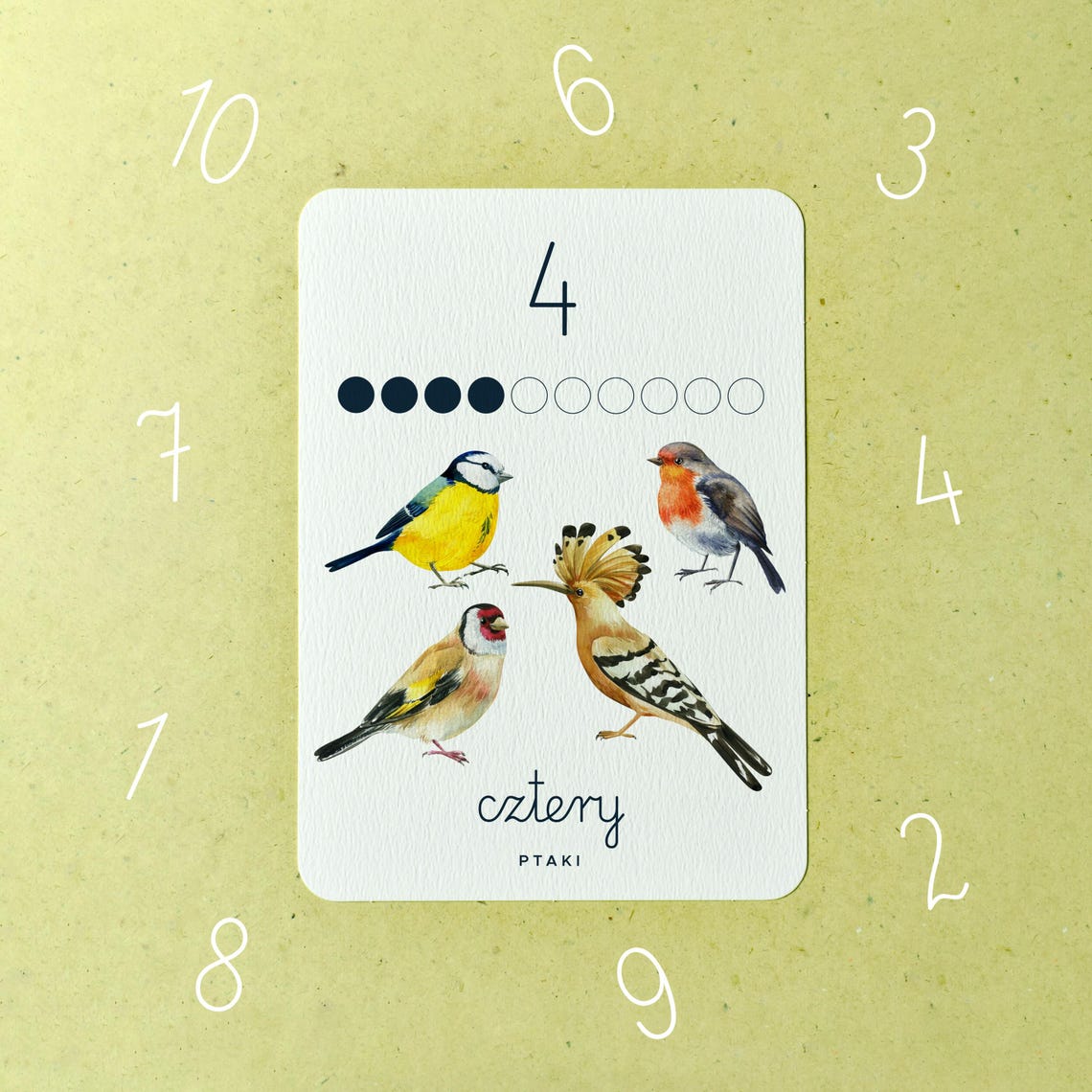 Polish Numbers Flashcards 1-10 | Printable Educational Cards for Kids ...