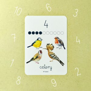 Polish Numbers Flashcards 1-10 | Printable Educational Cards for Kids ...