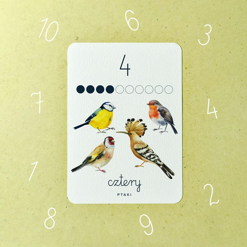 Polish Numbers Flashcards 1-10 | Printable Educational Cards for Kids ...