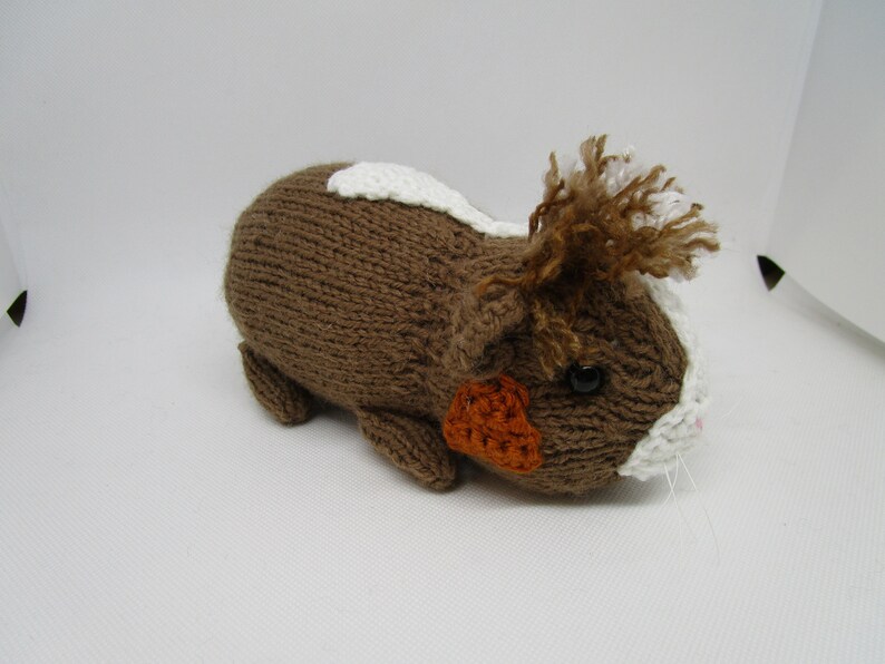 Custom Made Guinea Pig Made to Look Like Owner's Hand - Etsy