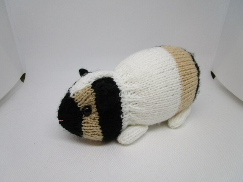 Guinea Pig Custom Made Look Like Owner's Knitted Guinea | Etsy