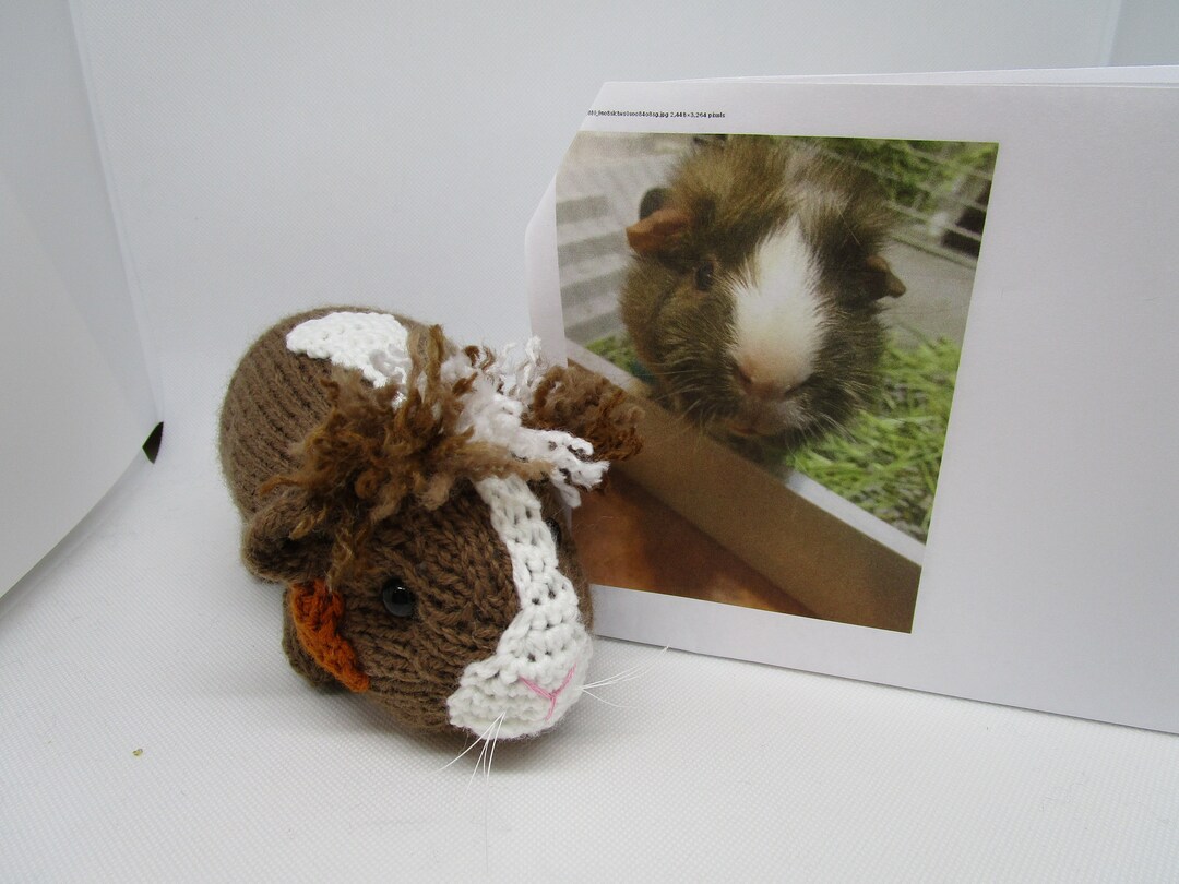 Custom Made Guinea Pig, Made to Look Like Owner's, Hand Knitted Guinea ...