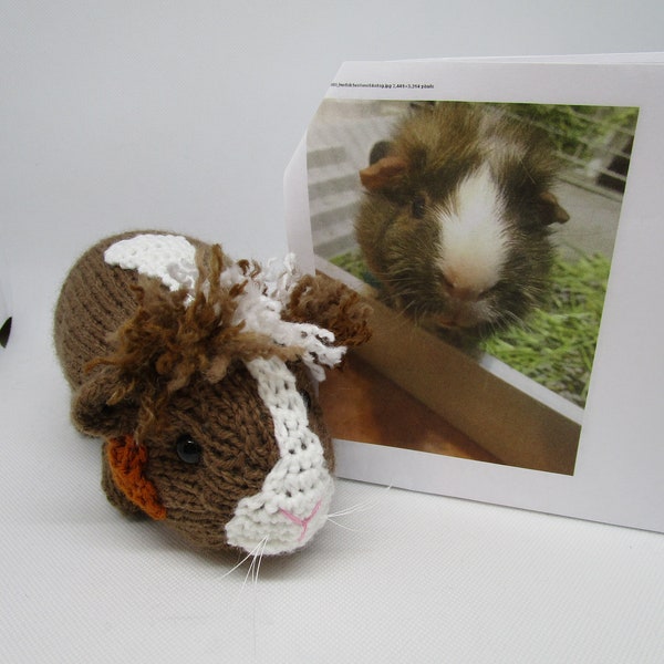 Stuffed Guinea Pig - Etsy