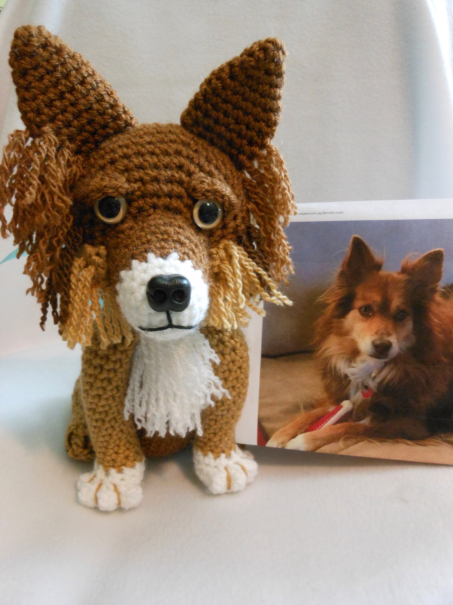 Custom Crochet Dog Australian Shepard Made to Look Like | Etsy