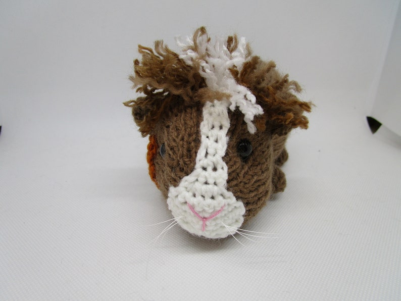 Custom Made Guinea Pig Made to Look Like Owner's Hand - Etsy