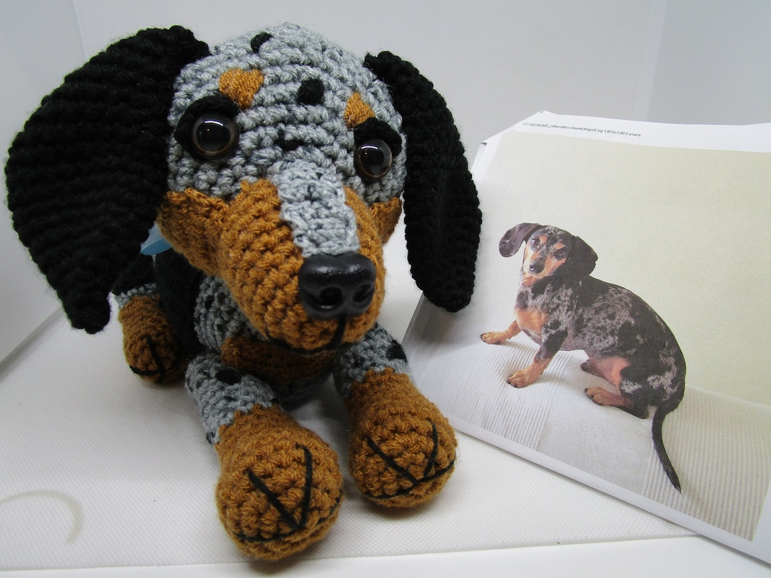 Custom Dapple Dachshund, Custom Crochet Dog, Dachshund, Crochet ...
